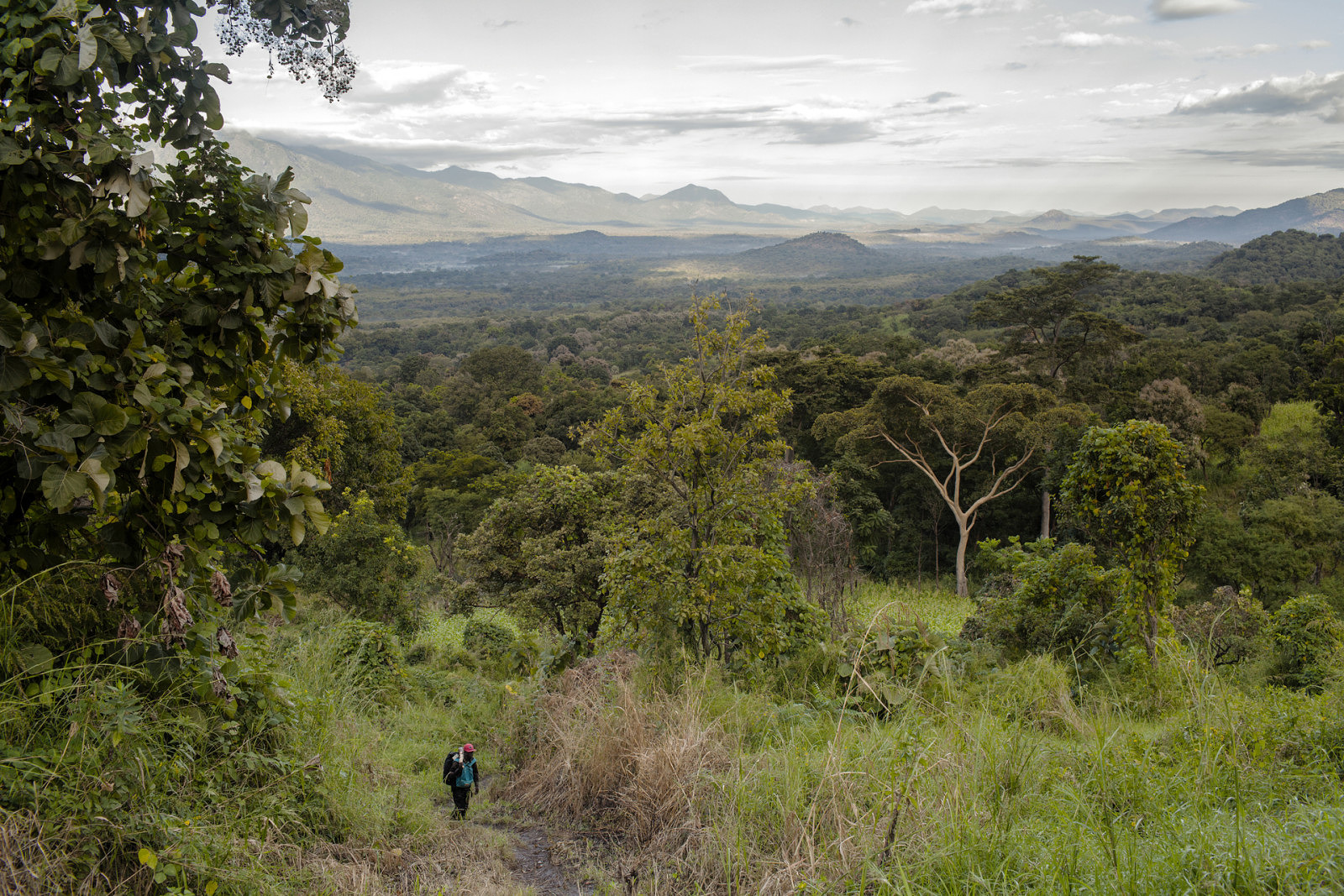 South Sudan, "A wild country grows in South Sudan" - Marco Di Lauro